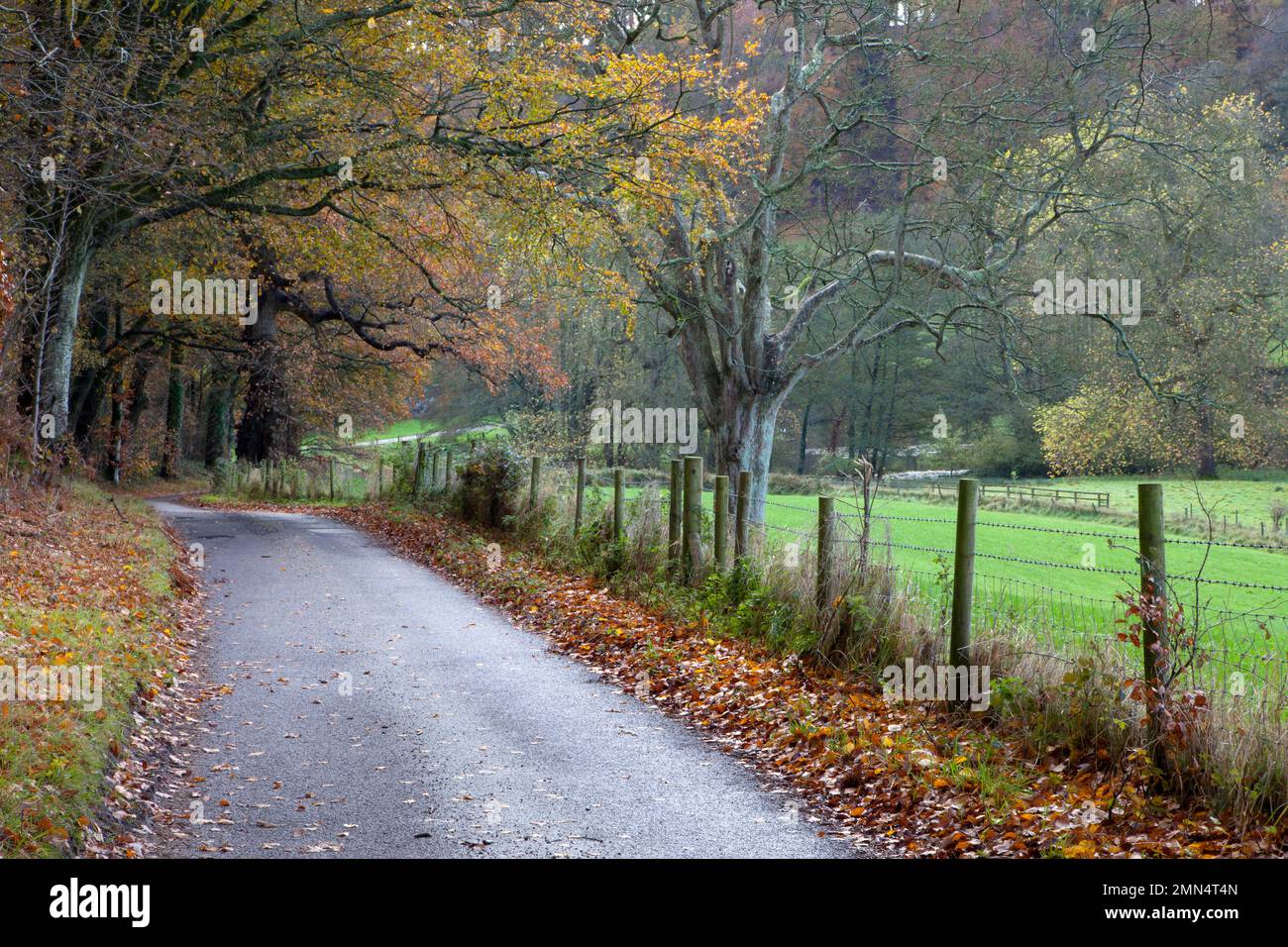 Lane with slope hi-res stock photography and images - Alamy
