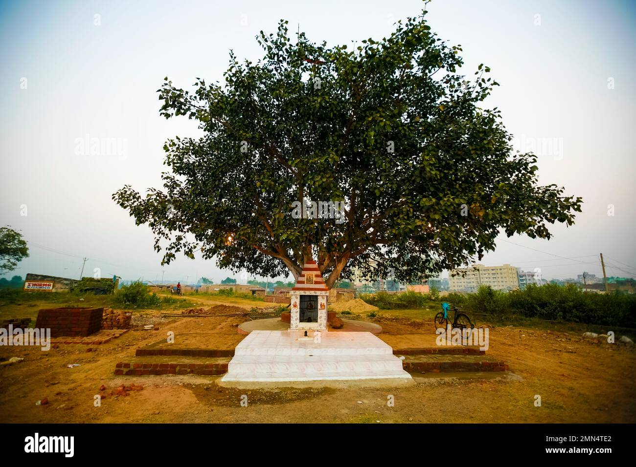 Banyan tree india village hi-res stock photography and images - Alamy