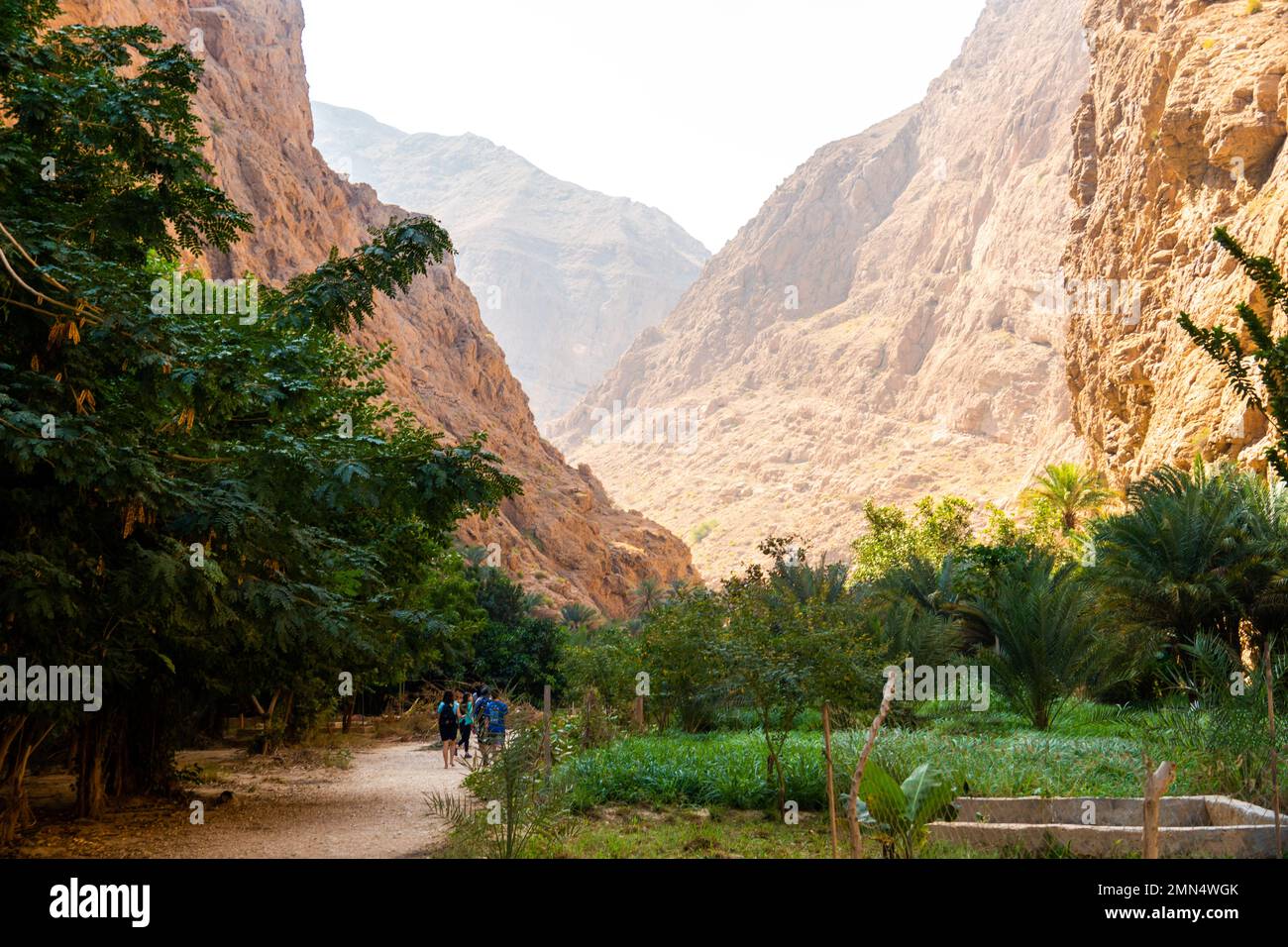 Wadi Shab in oman Stock Photo - Alamy