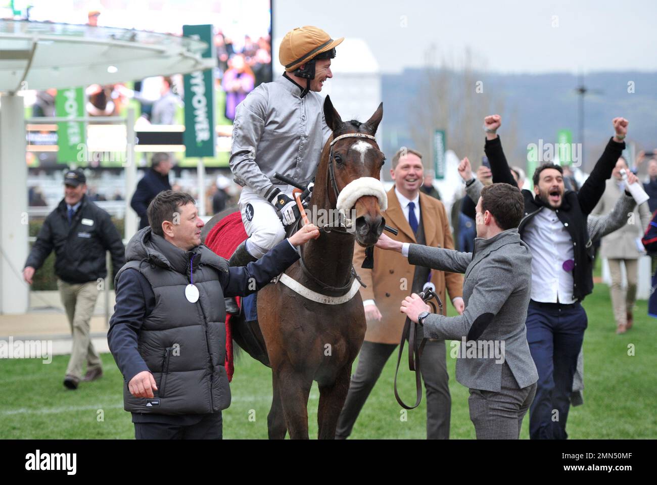 Gold tweet horse hi-res stock photography and images - Alamy