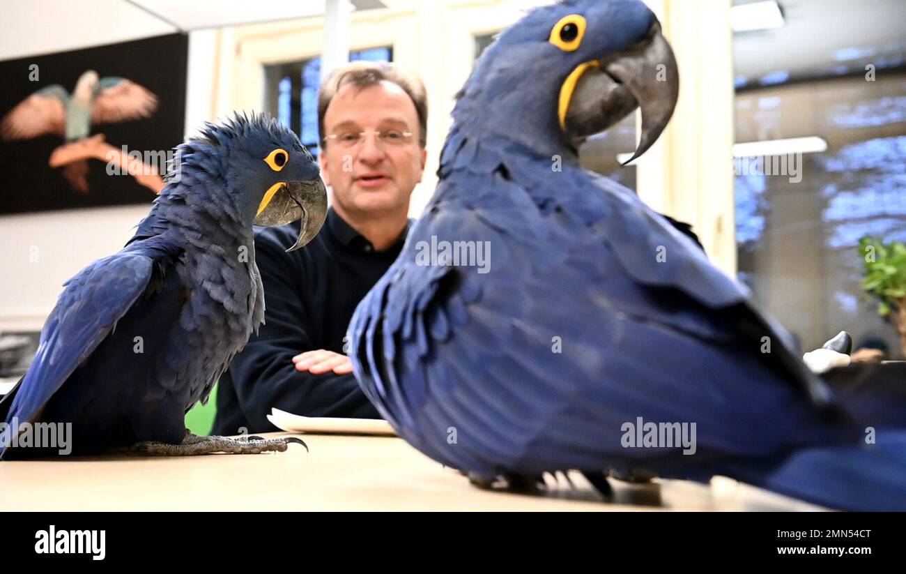 Karlsruhe, Germany. 26th Jan, 2023. Matthias Reinschmidt, Zoo Director ...
