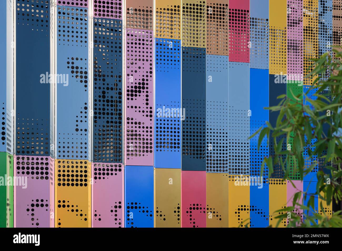 Esme timbery hi-res stock photography and images - Alamy