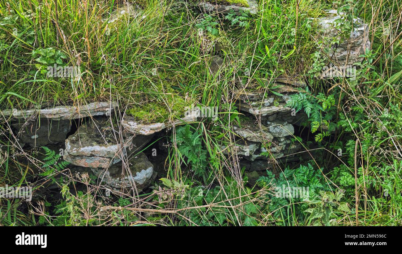 Tulloch scotland hi-res stock photography and images - Alamy