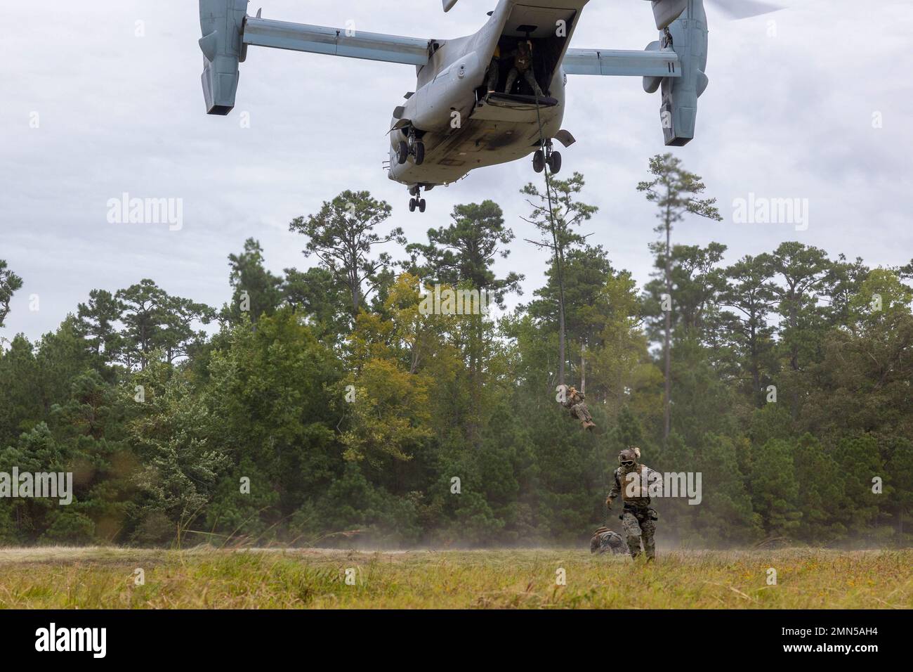 Hrst masters hi-res stock photography and images - Alamy