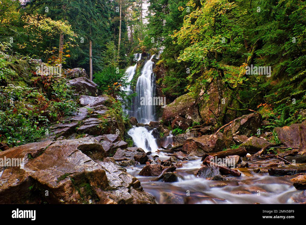 Cascade de tendon hi-res stock photography and images - Alamy