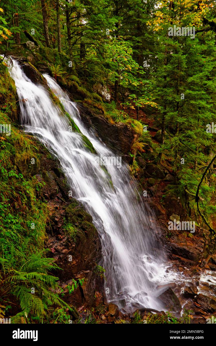 Cascade de tendon hi-res stock photography and images - Alamy