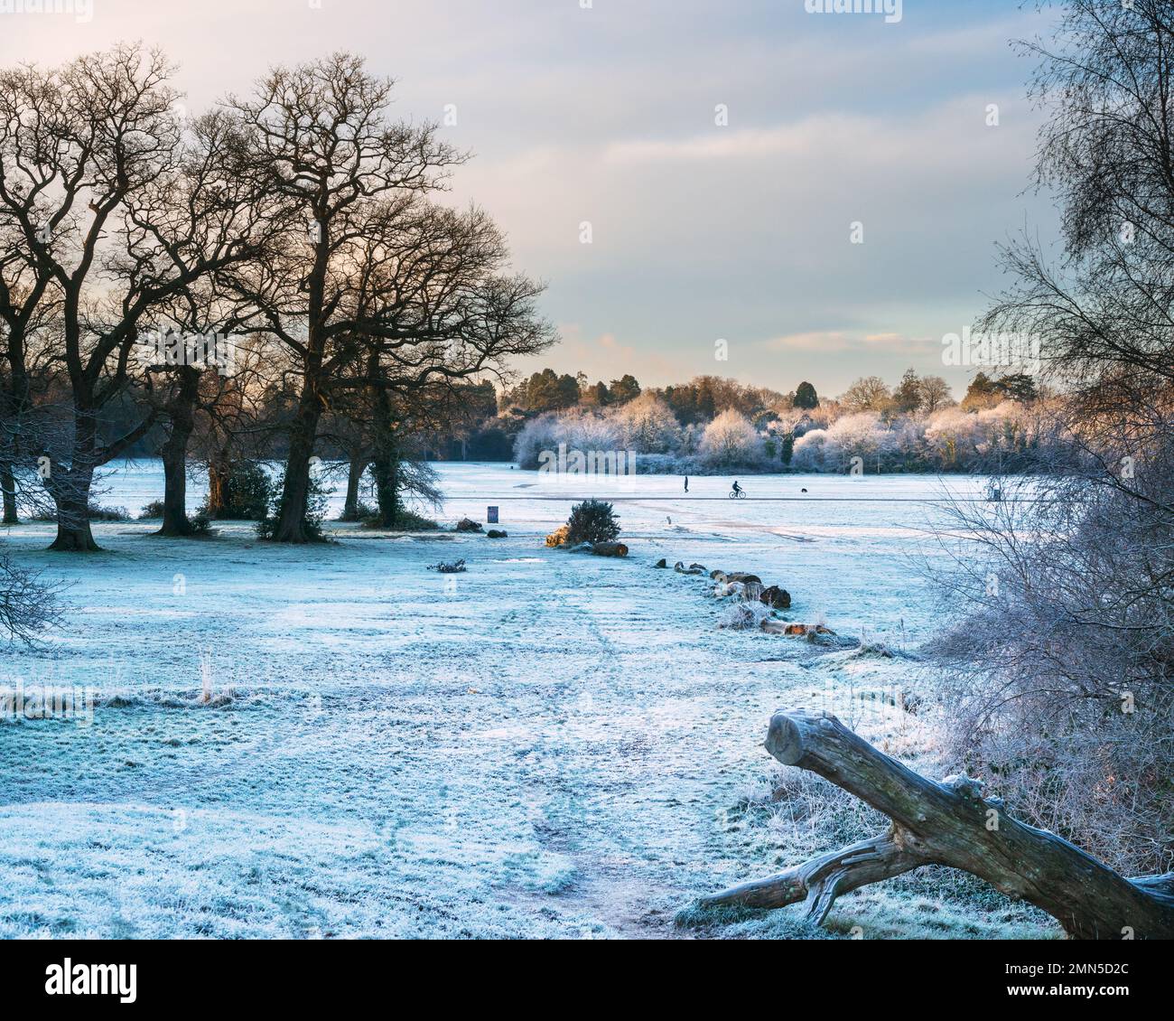 Southampton Common on a frosty winter morning Stock Photo - Alamy