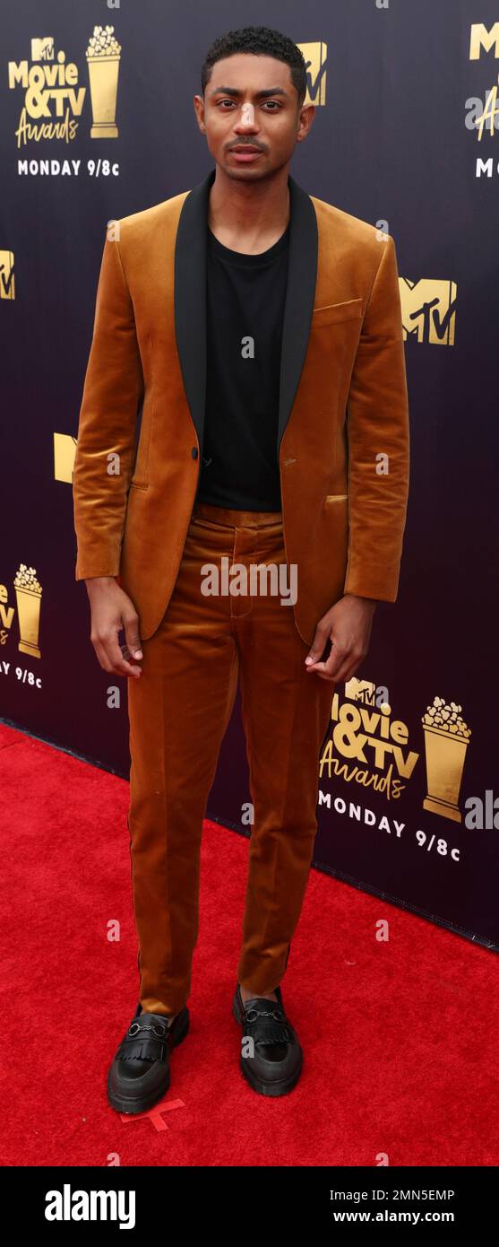 Steven Silver arrives at the MTV Movie and TV Awards at the Barker ...