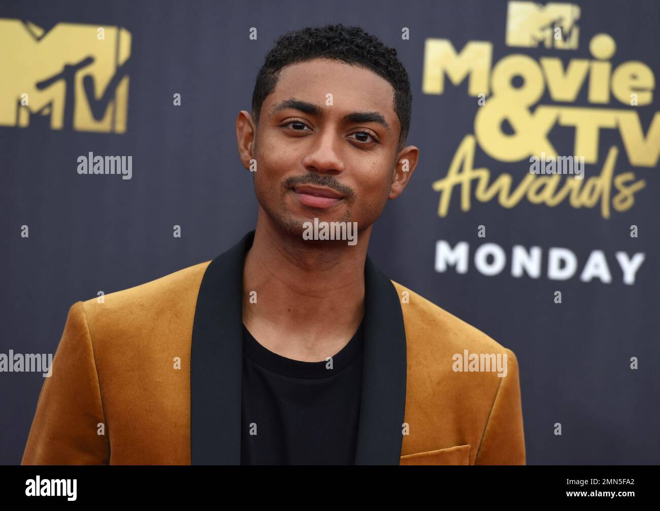 Steven Silver arrives at the MTV Movie and TV Awards at the Barker ...