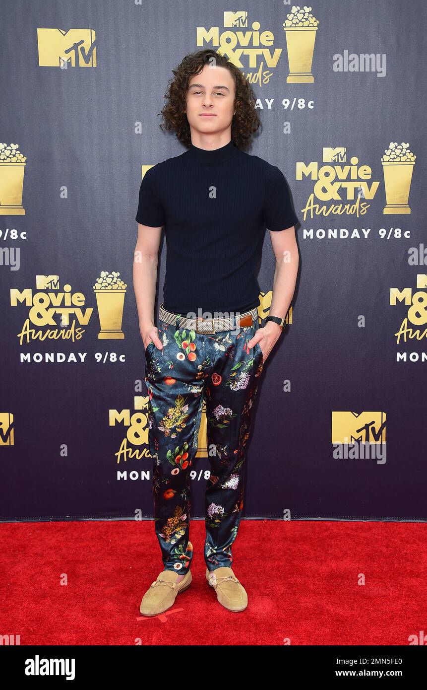 Wyatt Oleff arrives at the MTV Movie and TV Awards at the Barker Hangar ...