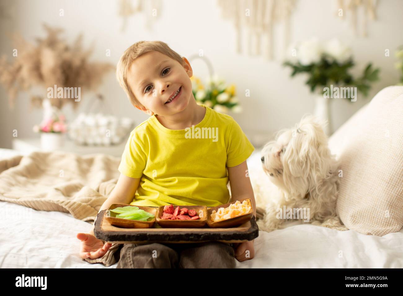 Cute little preschool child, boy, eating dried fruits at home ...