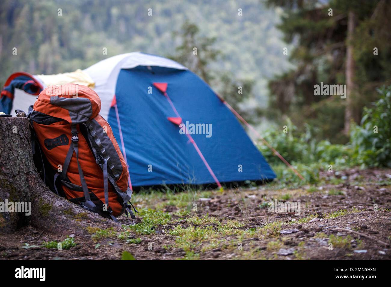 Installed tourist tent in a camping in nature in the forest. Domestic ...