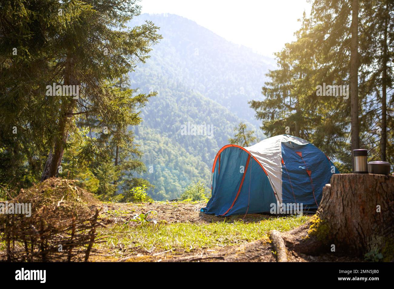 Installed tourist tent in a camping in nature in the forest. Domestic ...