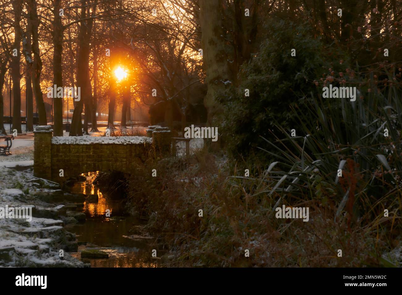 Morning sunrise in the park and a sunset on the beach Stock Photo - Alamy