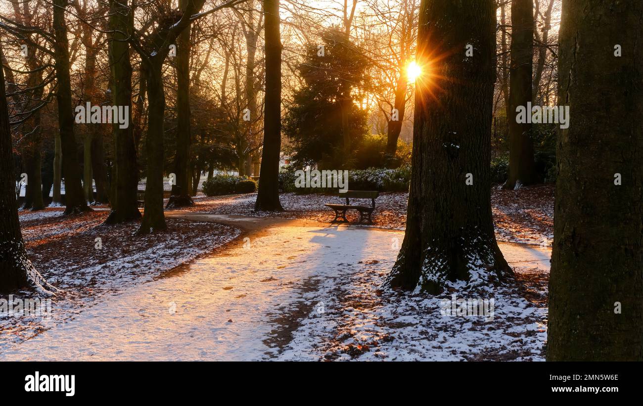 Morning sunrise in the park and a sunset on the beach Stock Photo - Alamy