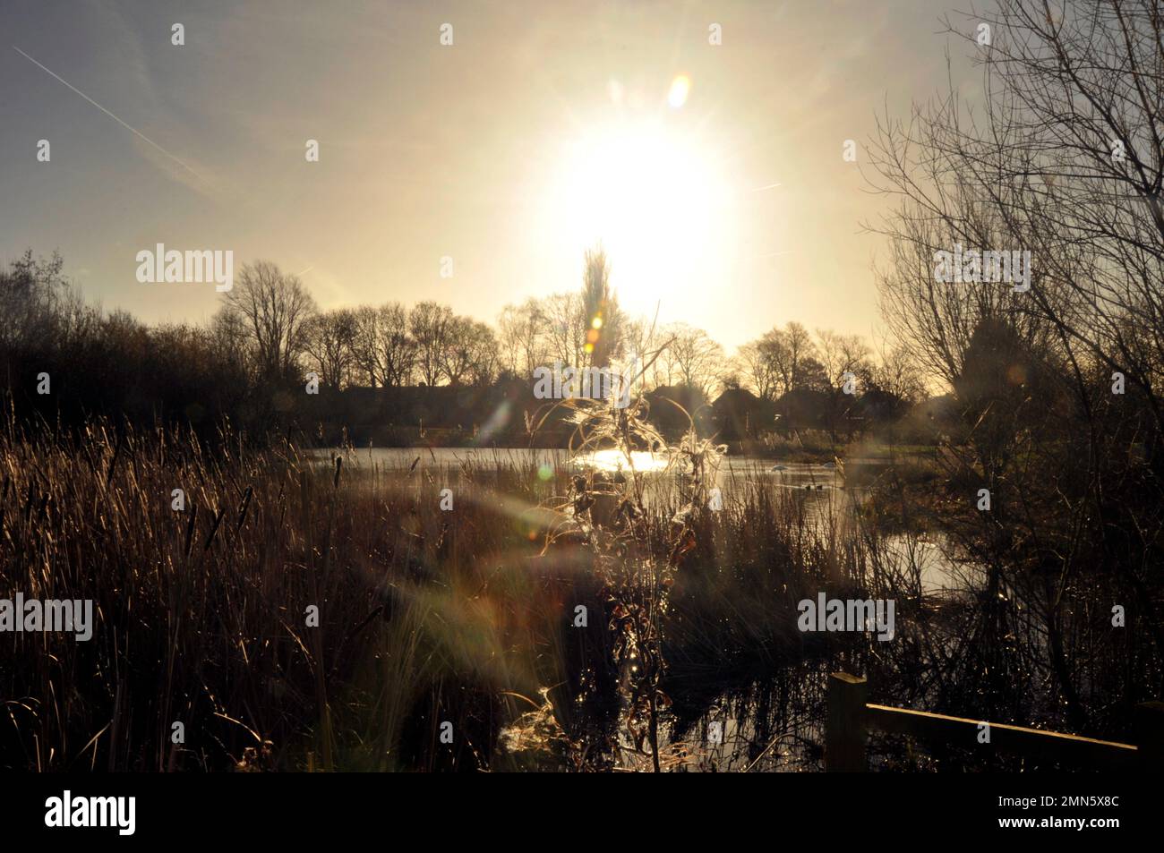 Derwenthorpe york hi-res stock photography and images - Alamy