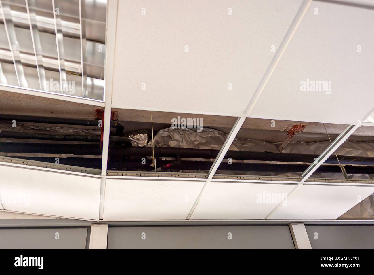 Construction worker assemble a suspended ceiling with drywall and ...