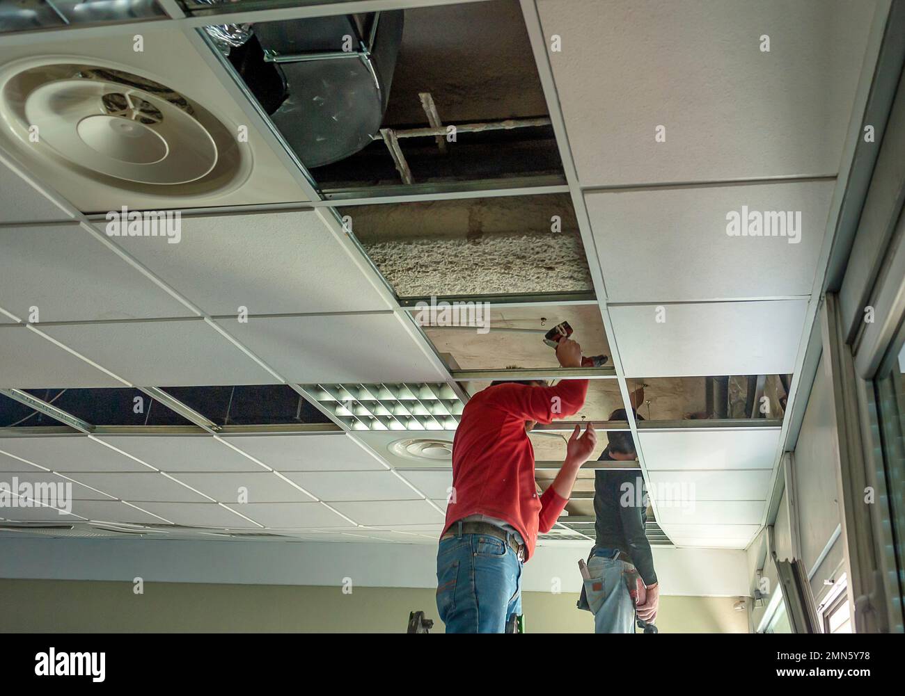 Construction worker assemble a suspended ceiling with drywall and ...