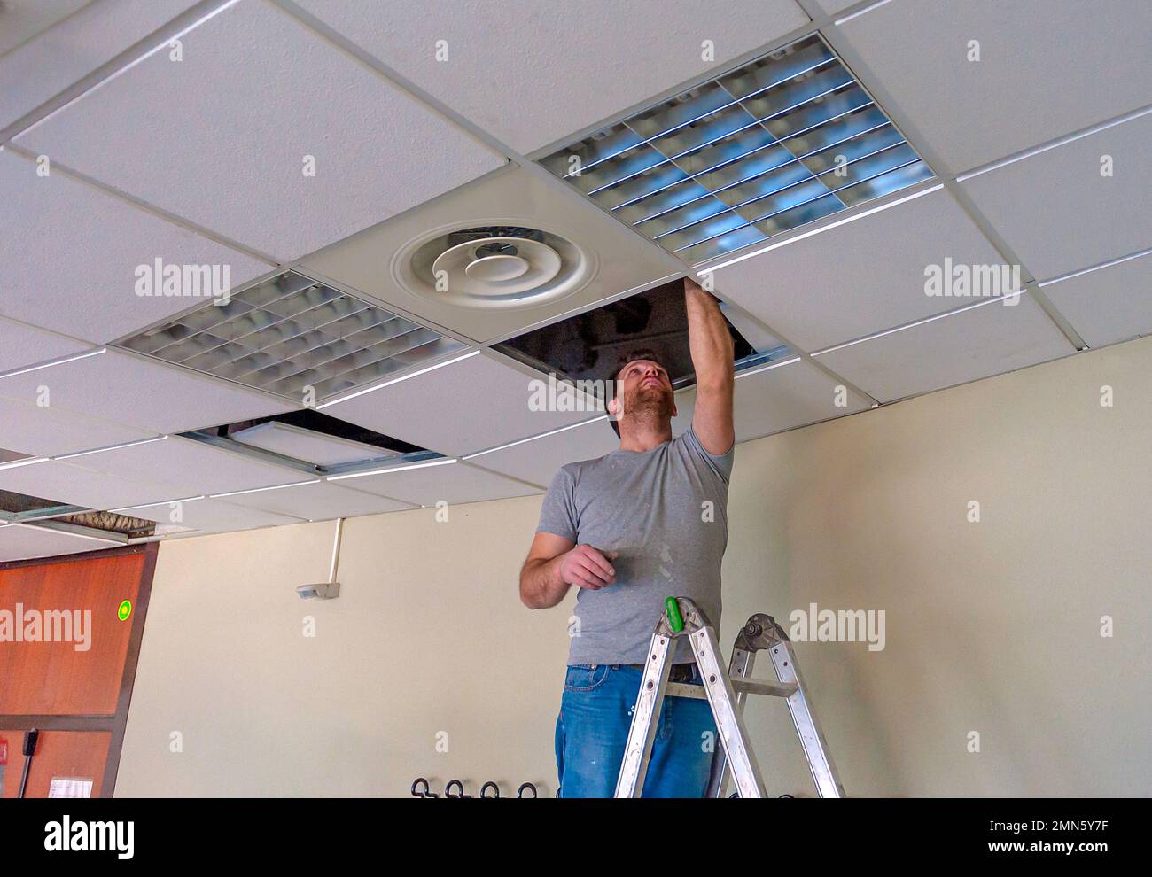 Construction worker assemble a suspended ceiling with drywall and ...