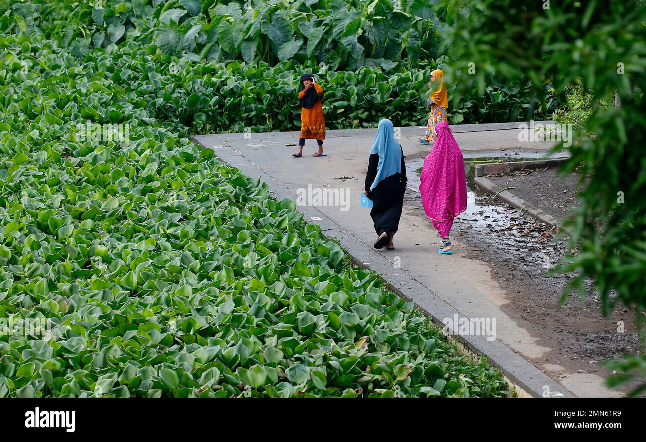 Filipino Muslims walk back to their homes following prayers to ...