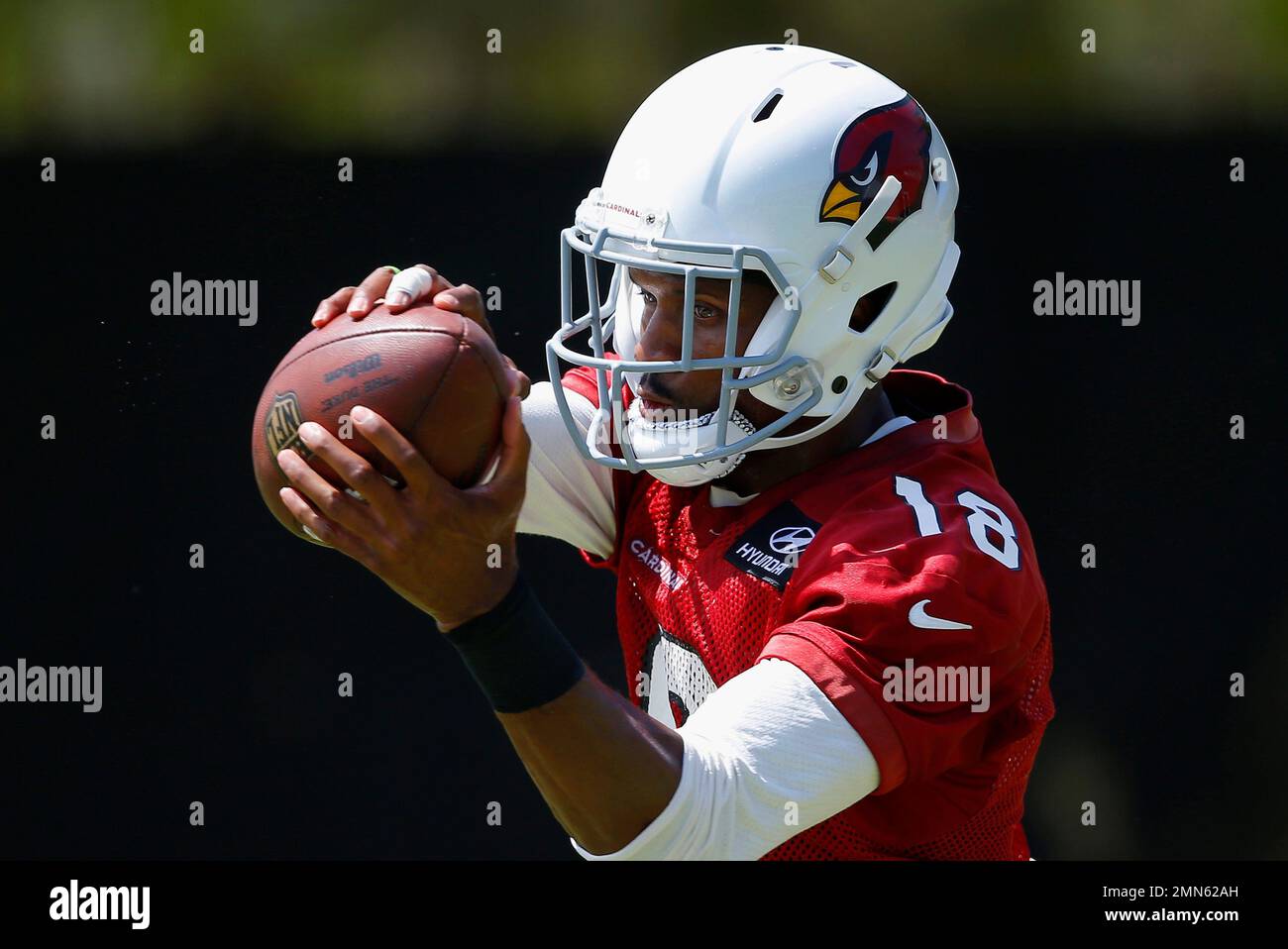 Arizona Cardinals wide receiver Brice Butler reaches out to make a ...