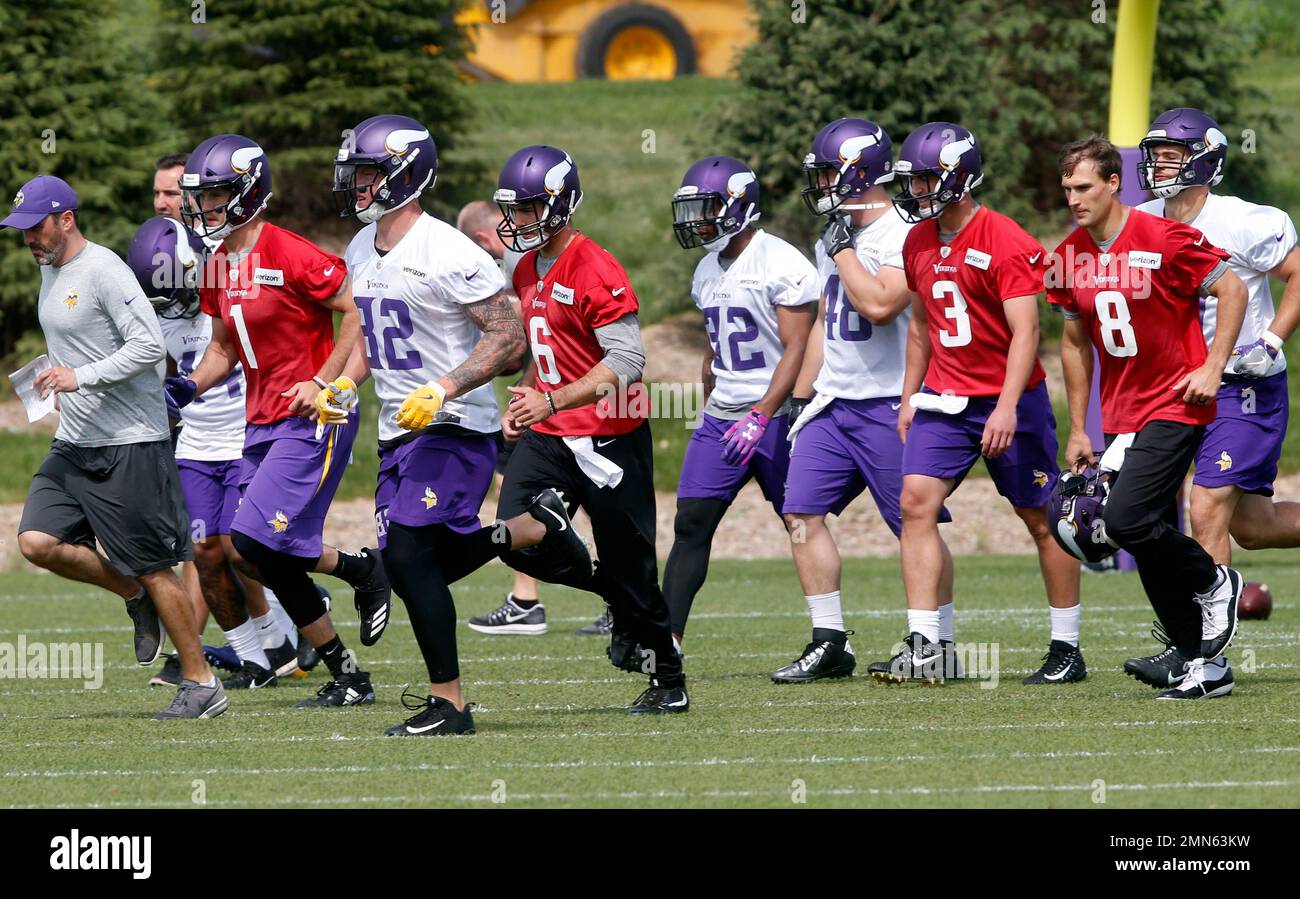Minnesota Vikings offensive players including four quarterbacks in red ...