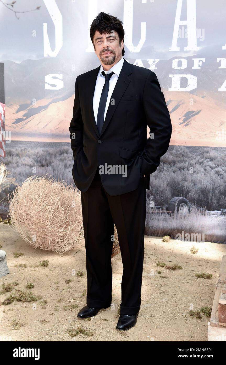 Benicio del Toro attends "Sicario: Day of the Soldado" photo call at ...