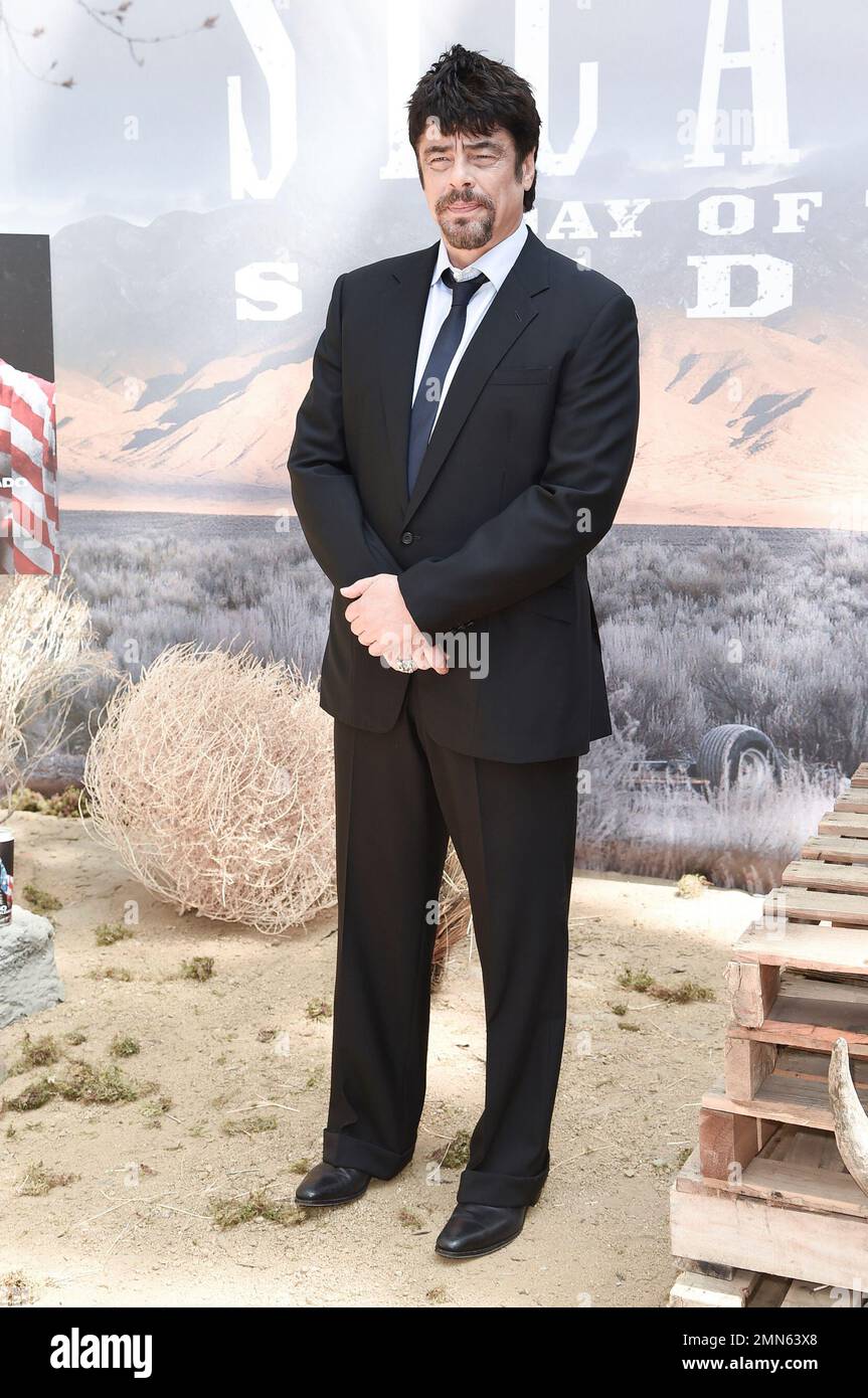 Benicio del Toro attends "Sicario: Day of the Soldado" photo call at ...