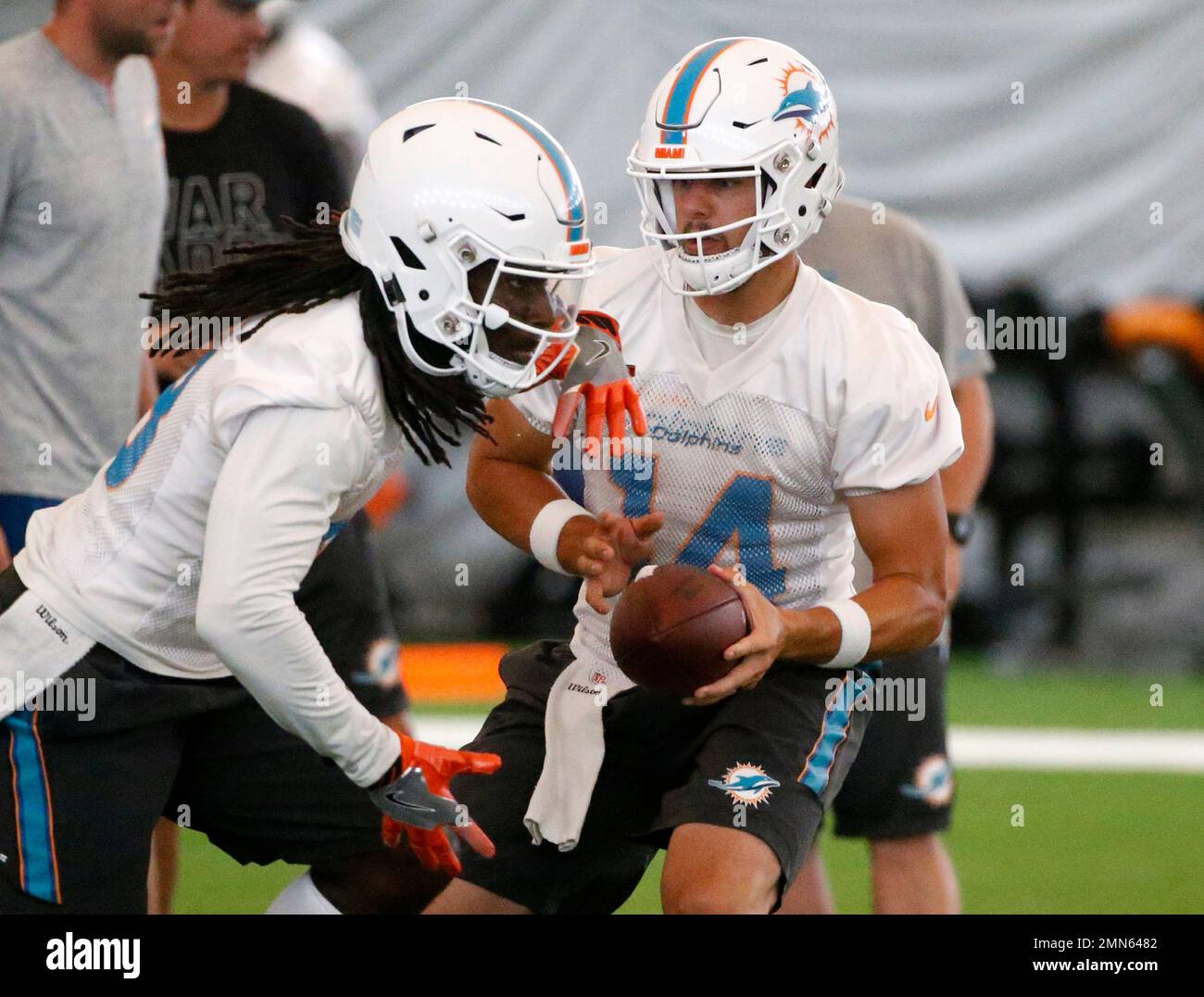 Miami Dolphins quarterback Bryce Petty (14) hands off to running back ...