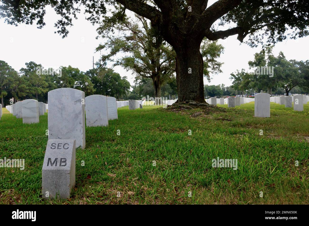 Section MB of Barrancas National Cemetery, one of the sections that ...