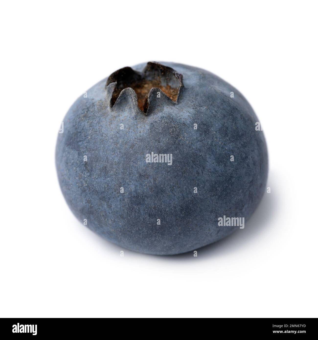 Single fresh ripe blueberry isolated on white background close up Stock ...