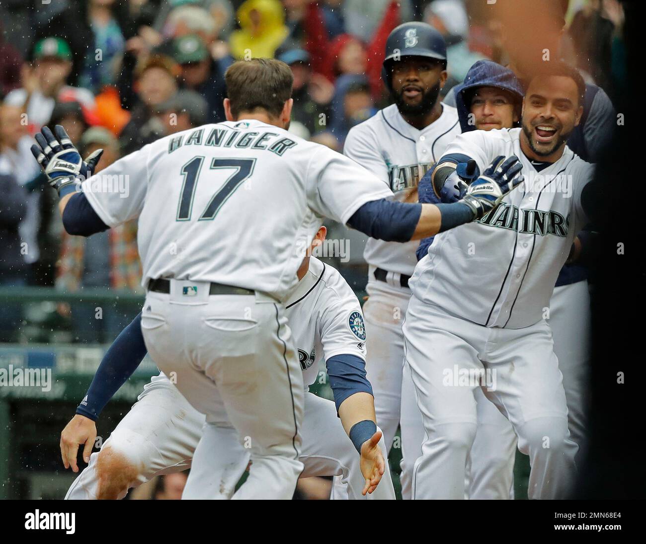 Seattle Mariners' Mitch Haniger (17) is welcomed at the plate by Nelson ...