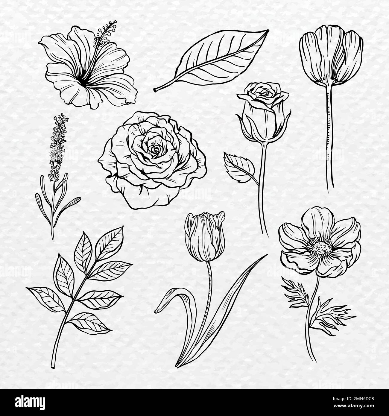 Vintage flower sticker, black botanical illustration vector set Stock ...