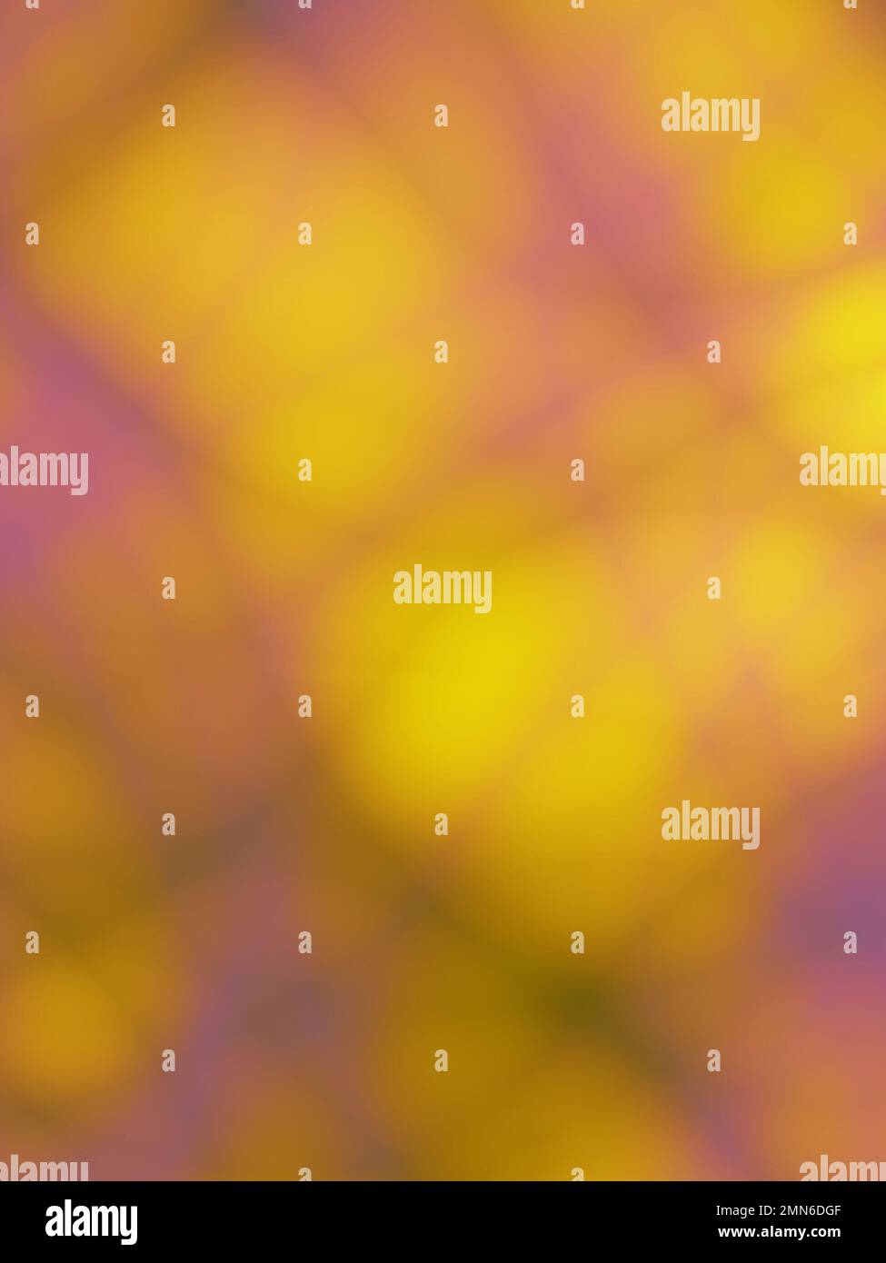 Tropical fruit art abstract vertical background Stock Photo - Alamy