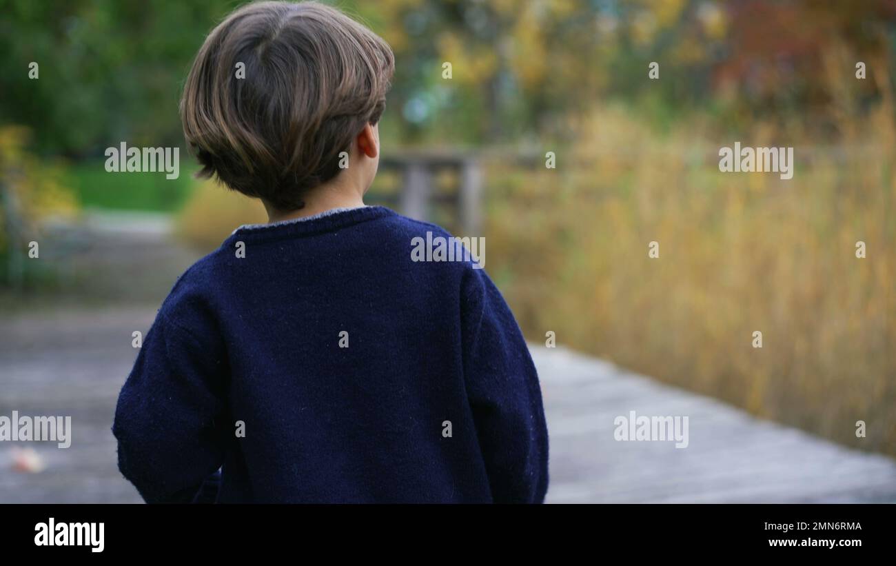 Back of small boy enjoying nature. Child walks in green path park in ...