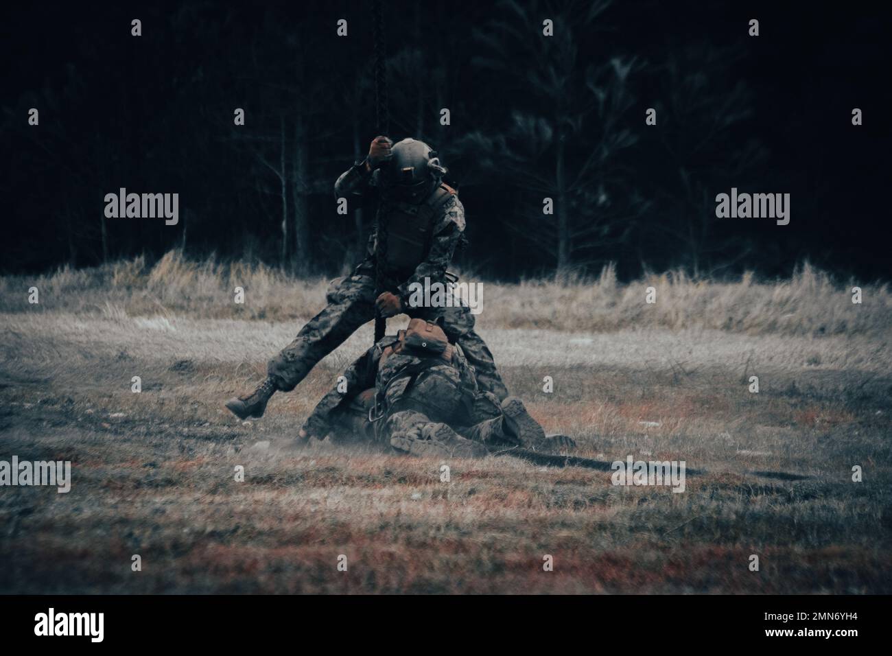 Hrst masters hi-res stock photography and images - Alamy