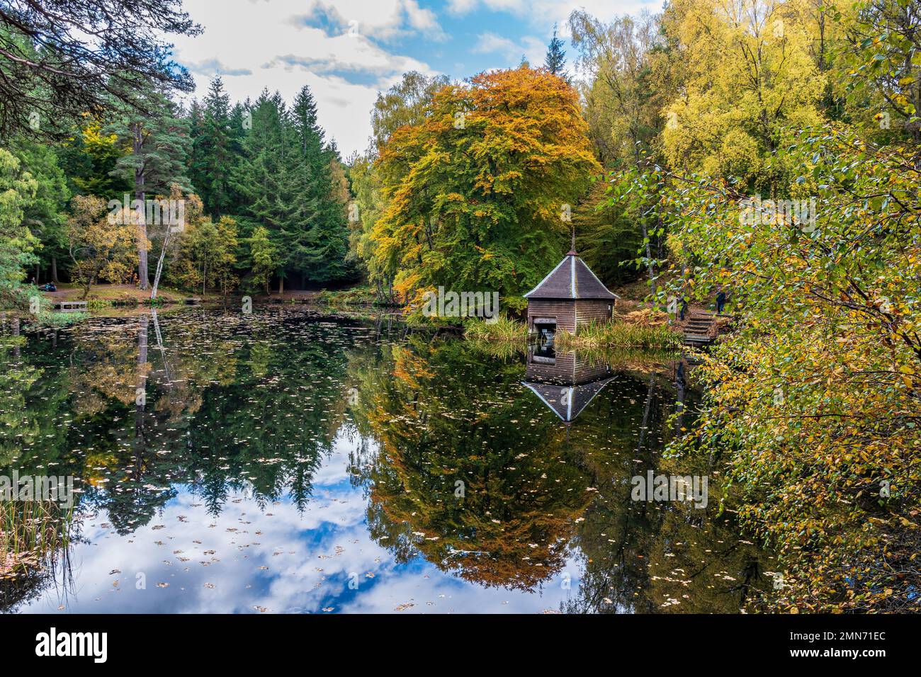 Loch Dunmore, faskally Forest, Pitlochry, Scotland Stock Photo - Alamy