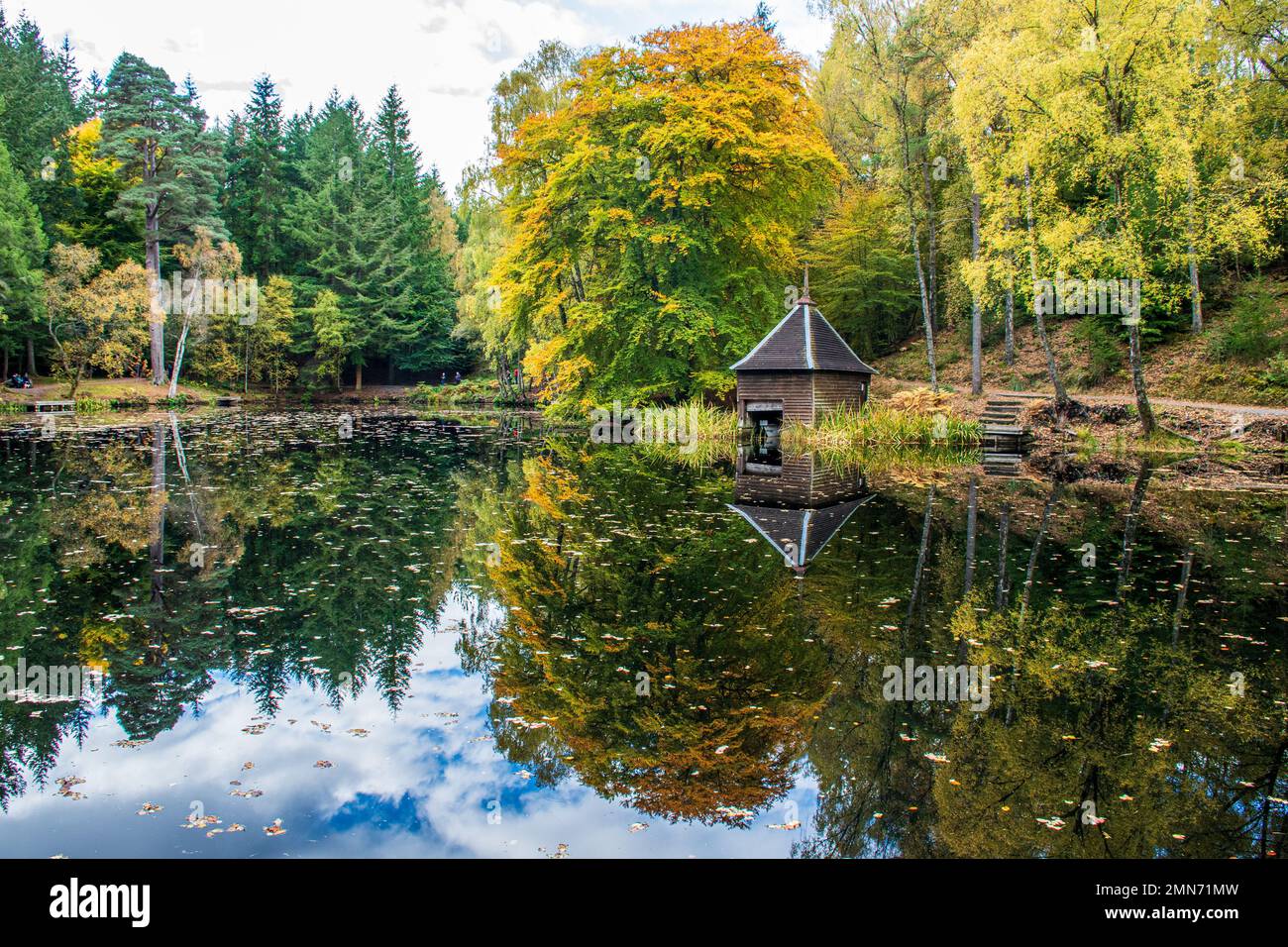 Faskally forest hi-res stock photography and images - Alamy