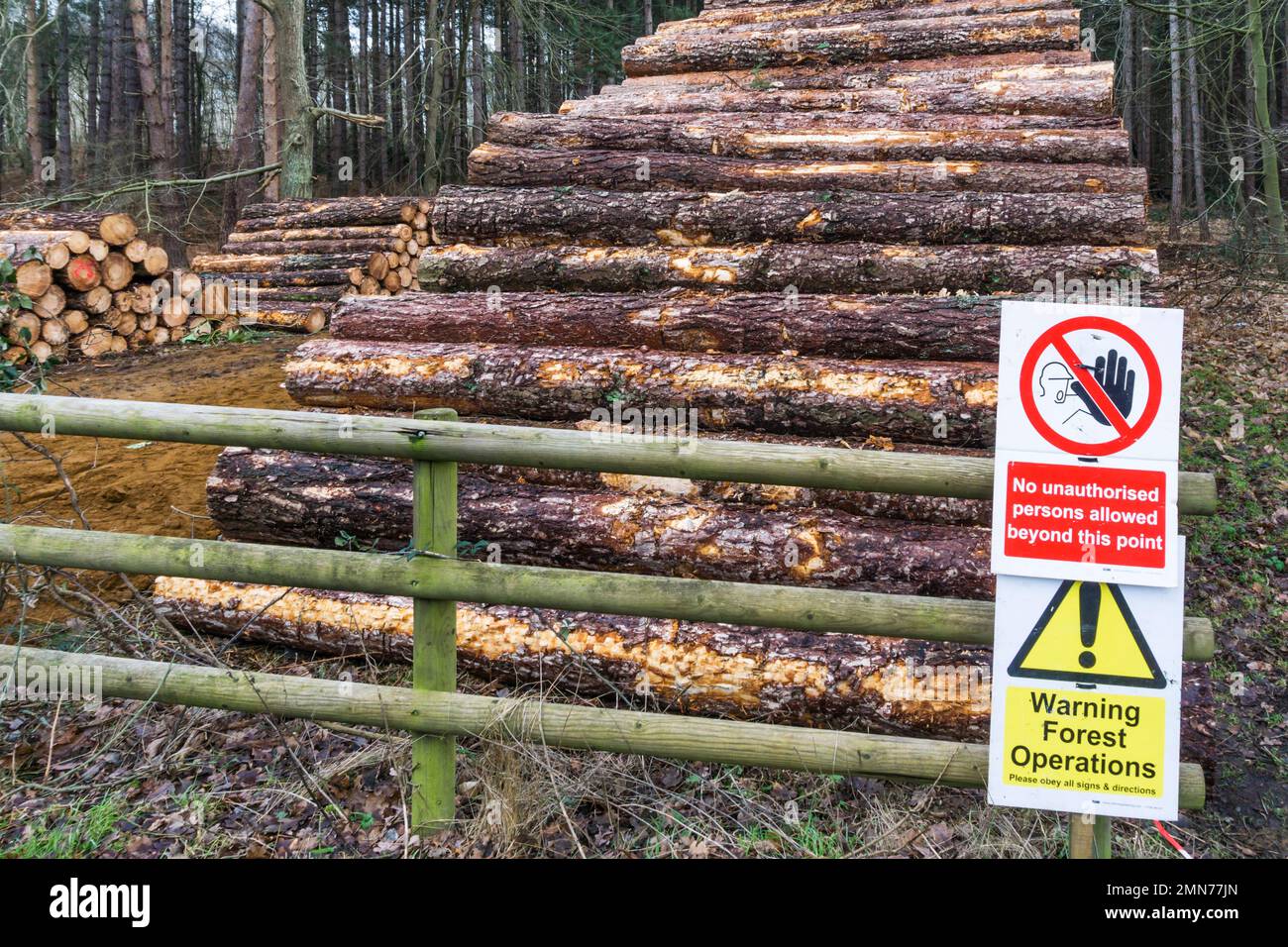Warning signs on stacked cut timber on the Sandringham Estate in ...