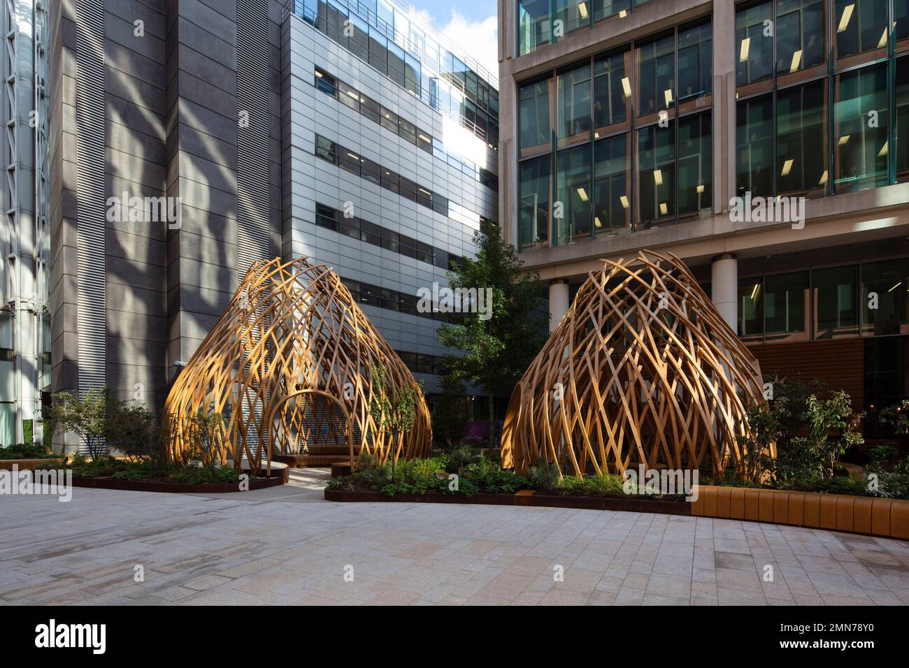 Wide angle plan view showing the situation with strong light ...