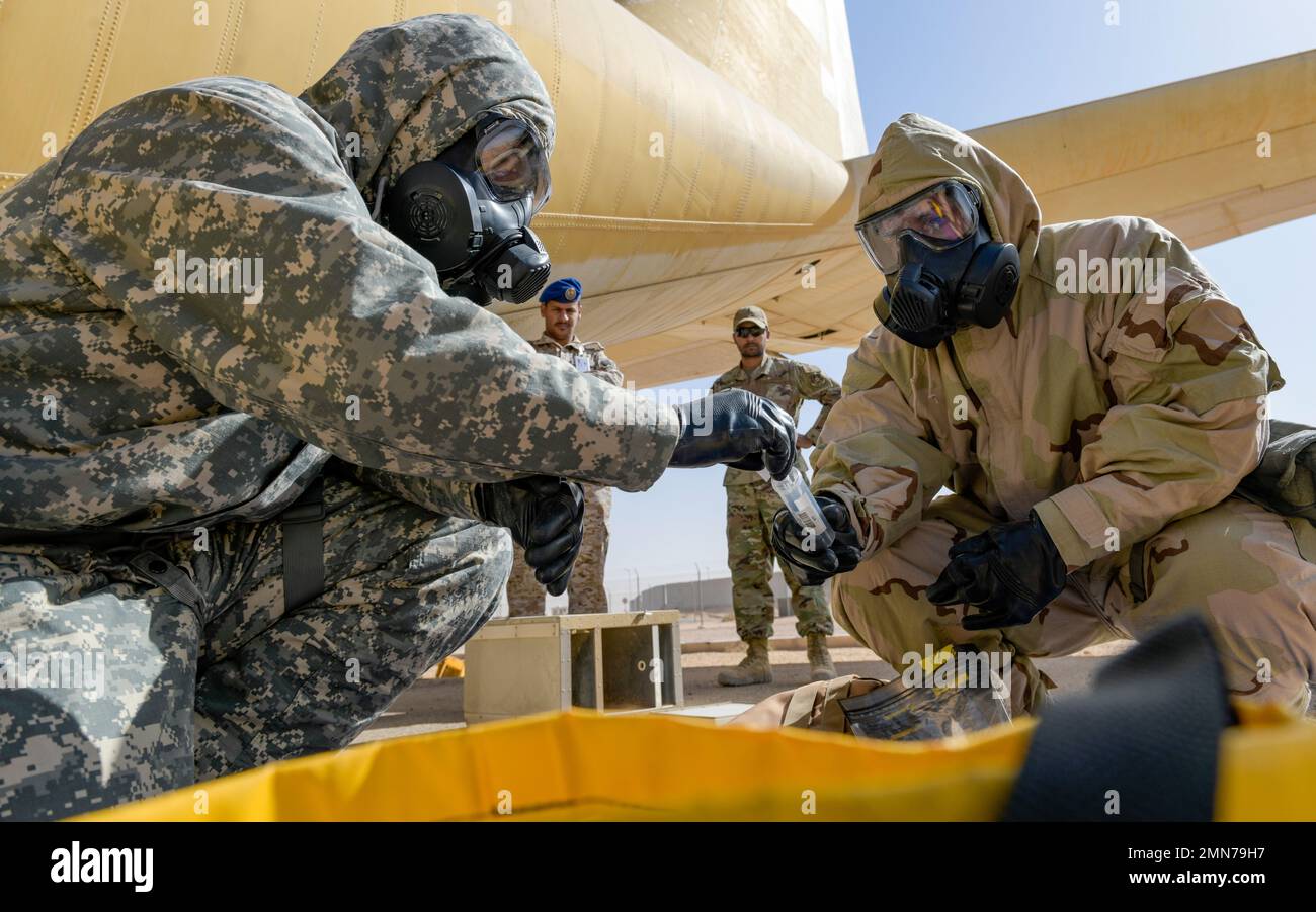Air Force Emergency Management Logo