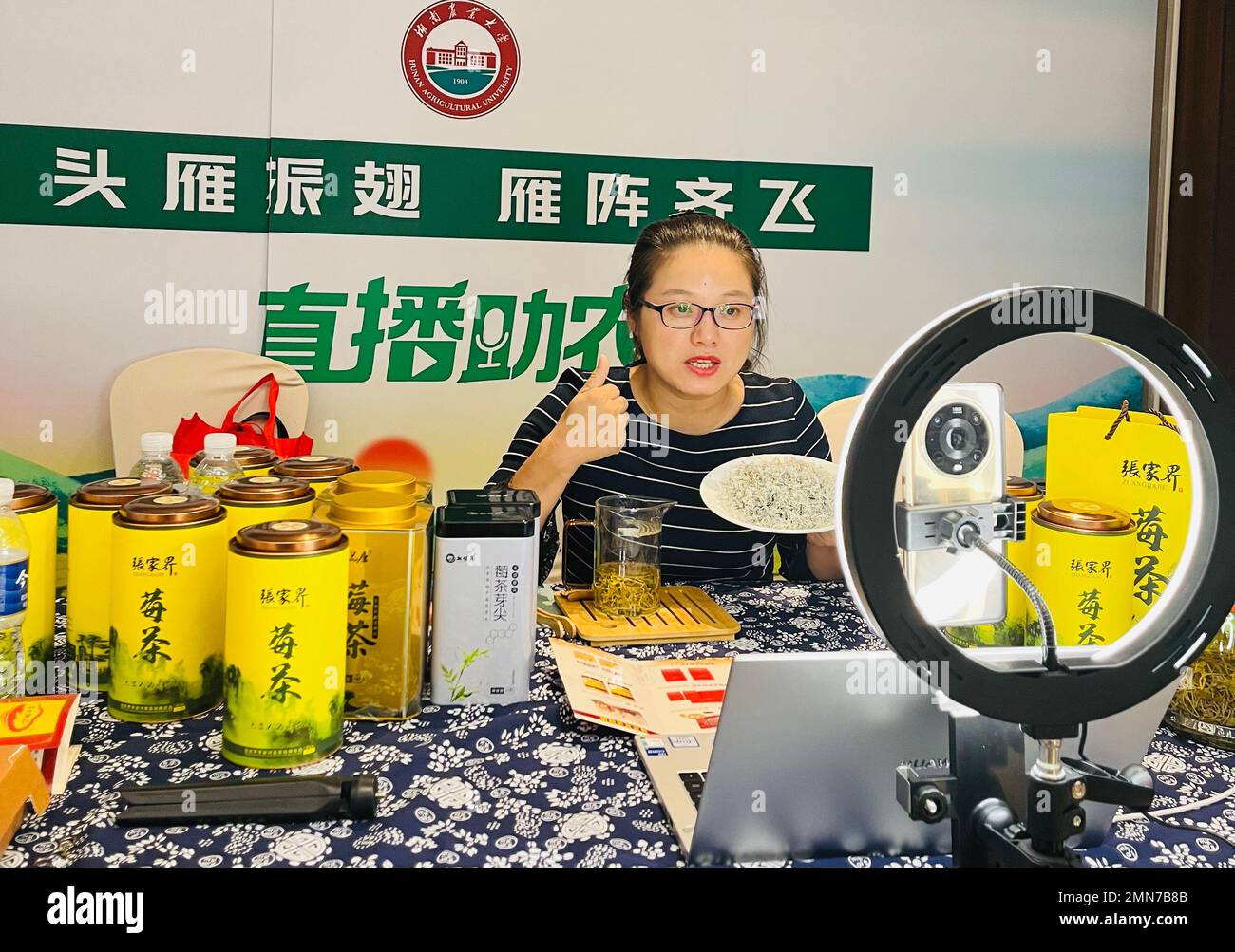 Changsha. 30th Jan, 2023. Li Chunyan introduces the special "vine tea ...