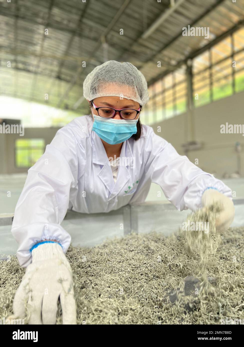 Chunyan li hi-res stock photography and images - Alamy