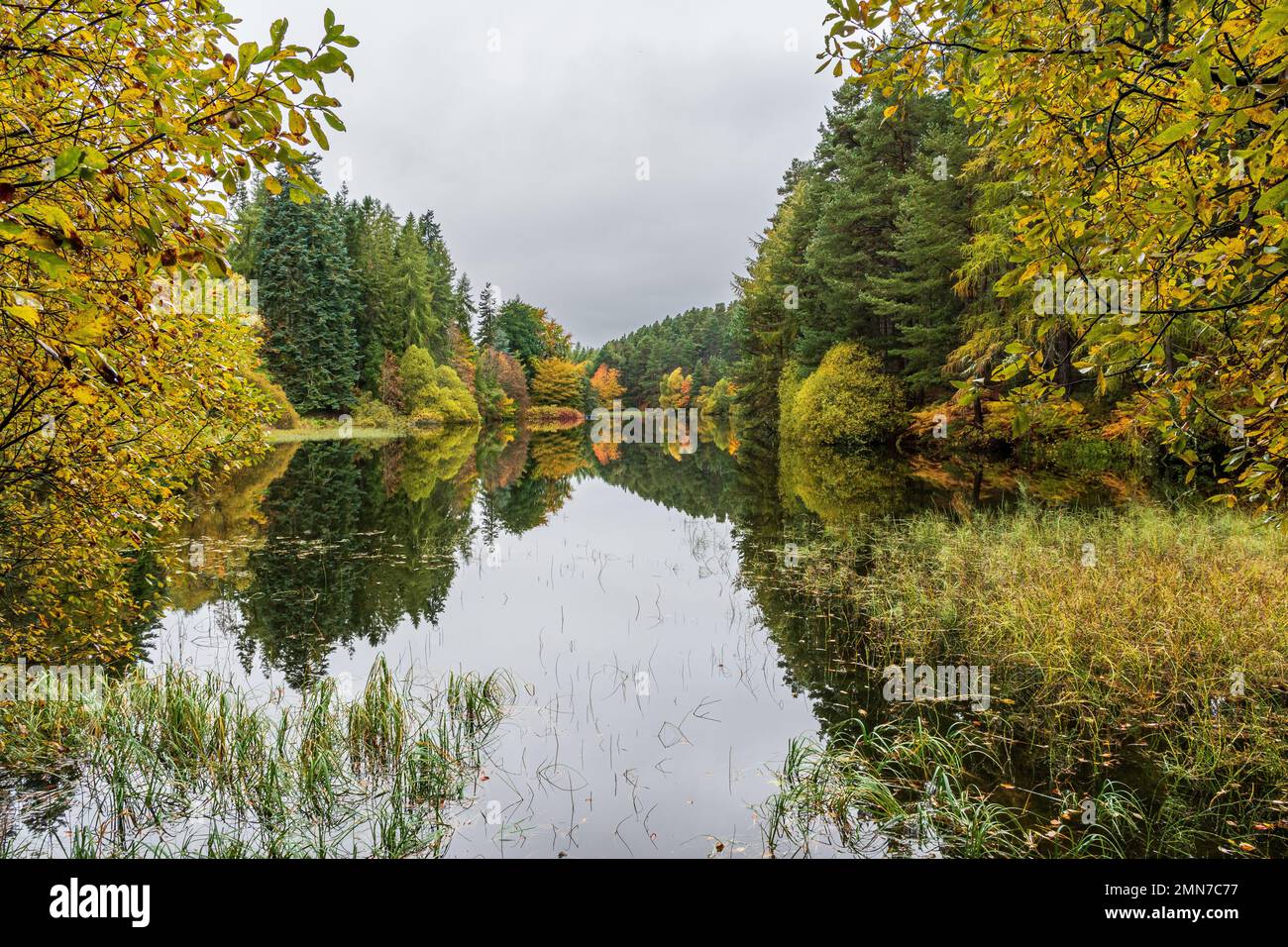 Elgin park hi-res stock photography and images - Alamy