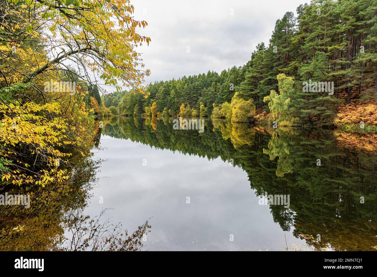 Millbuies Country Park, Elgin, Scotland Stock Photo - Alamy