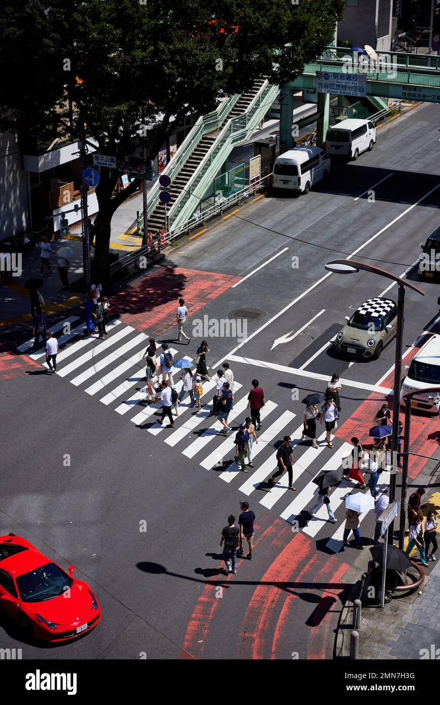 Pedestrians on zebra crossing, Meiji Dori; Shibuya, Tokyo, Japan Stock ...