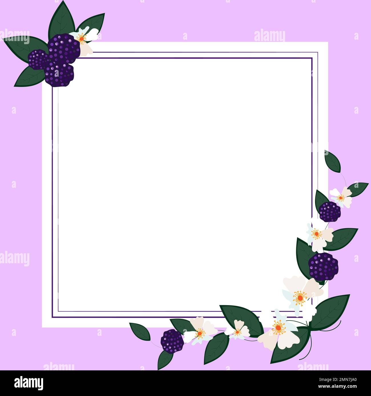 Purple Colored Square Shape Text Frame Surrounded With Assorted Flowers ...