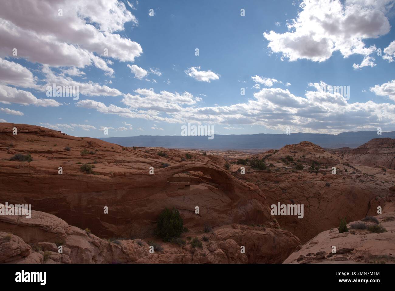 Brimstone arch hi-res stock photography and images - Alamy