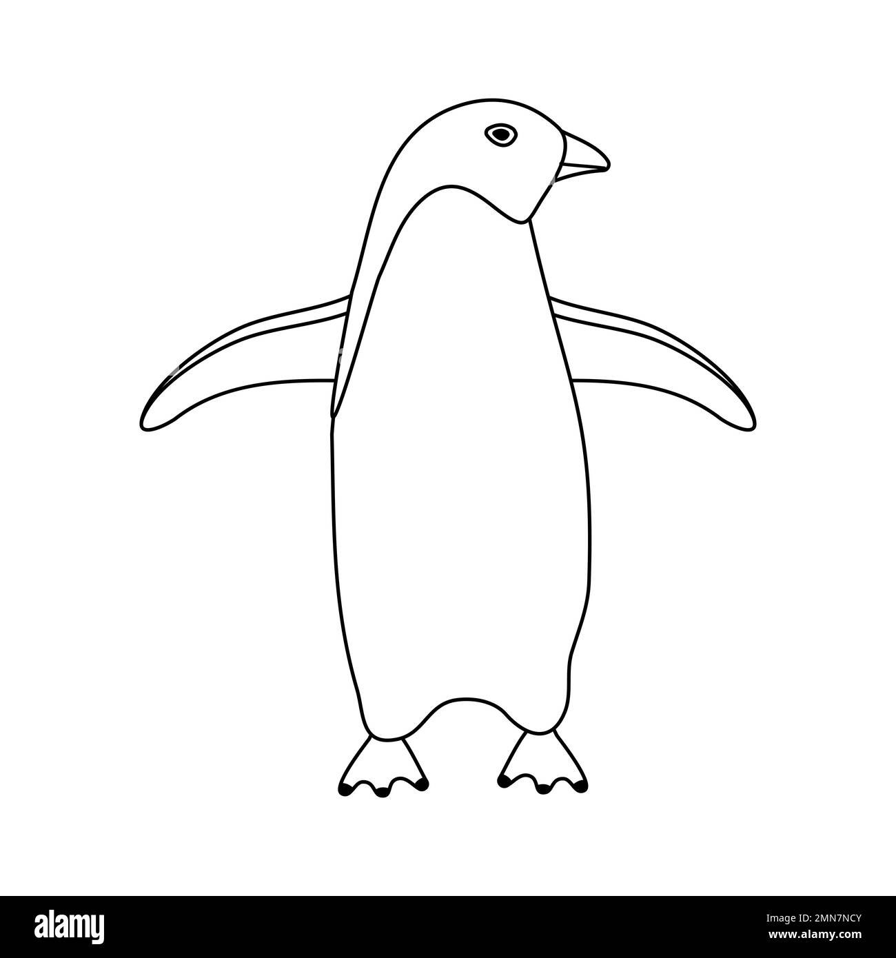 Vector hand drawn flat outline penguin isolated on white background ...