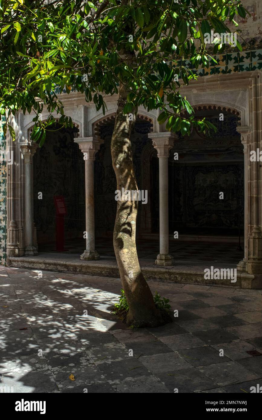 The natural curves of a tree trunk contrast with the rigid but graceful ...